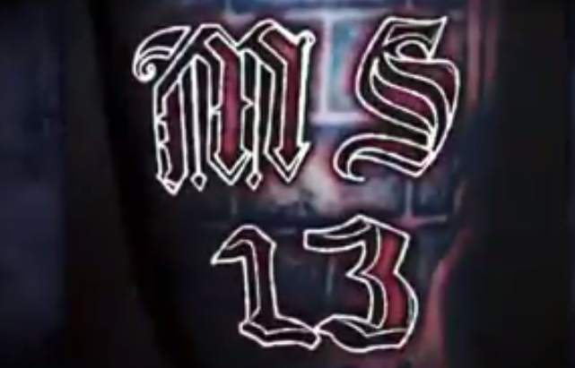 MS-13 gang targeted in sweep across Los Angeles
