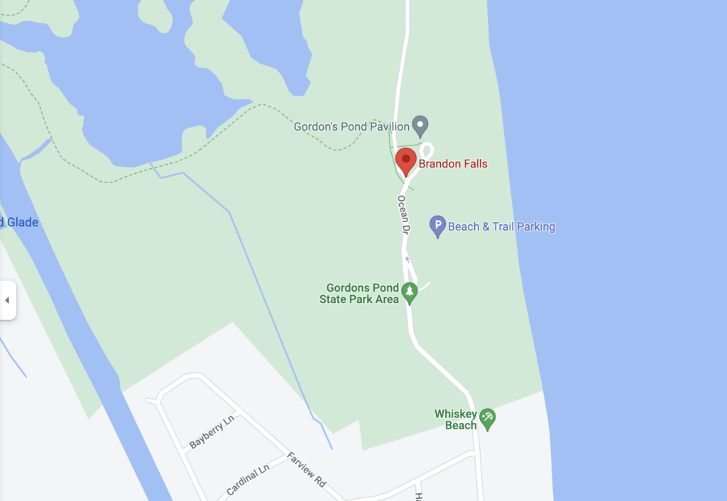 Place Where Biden Fell Off His Bike is Named ‘Brandon Falls’ on Google Maps