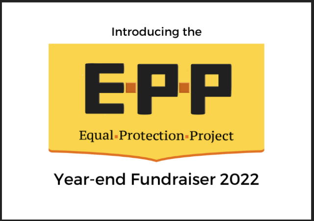 The Equal Protection Project – From Strength to Strength (Year-End ...