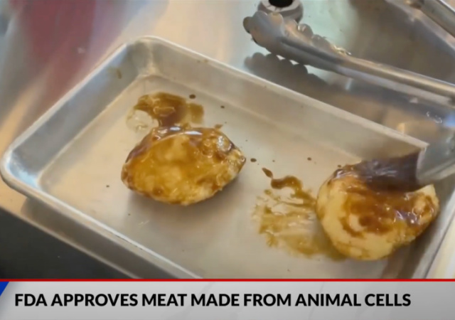 USDA Gives OK for Sale of ‘Lab Grown Meat’ to Public